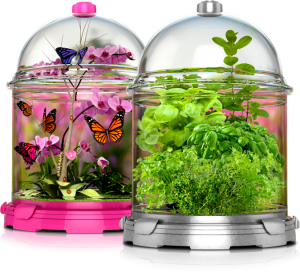 BioBubble Pets: The World's Most Versatile Animal Habitats - To the ...