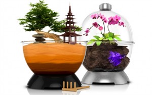 BioBubble Pets: The World's Most Versatile Animal Habitats - To the ...