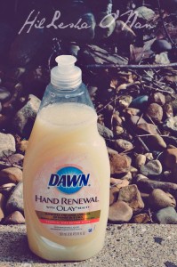 Simplify Your Summer with Dawn Hand Renewal