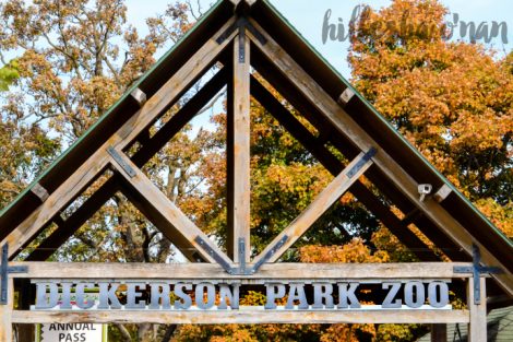 Dickerson Park Zoo in Springfield, Missouri