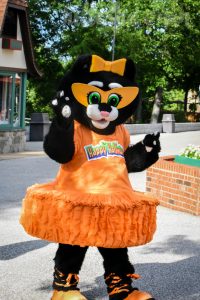 15 Reasons Why You Must Visit Holiday World