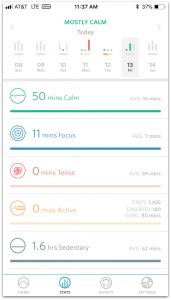 Spire Stone Wearable Tracker Review