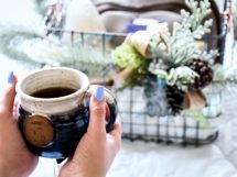 BioBubble Pets: The World's Most Versatile Animal Habitats - To the ...